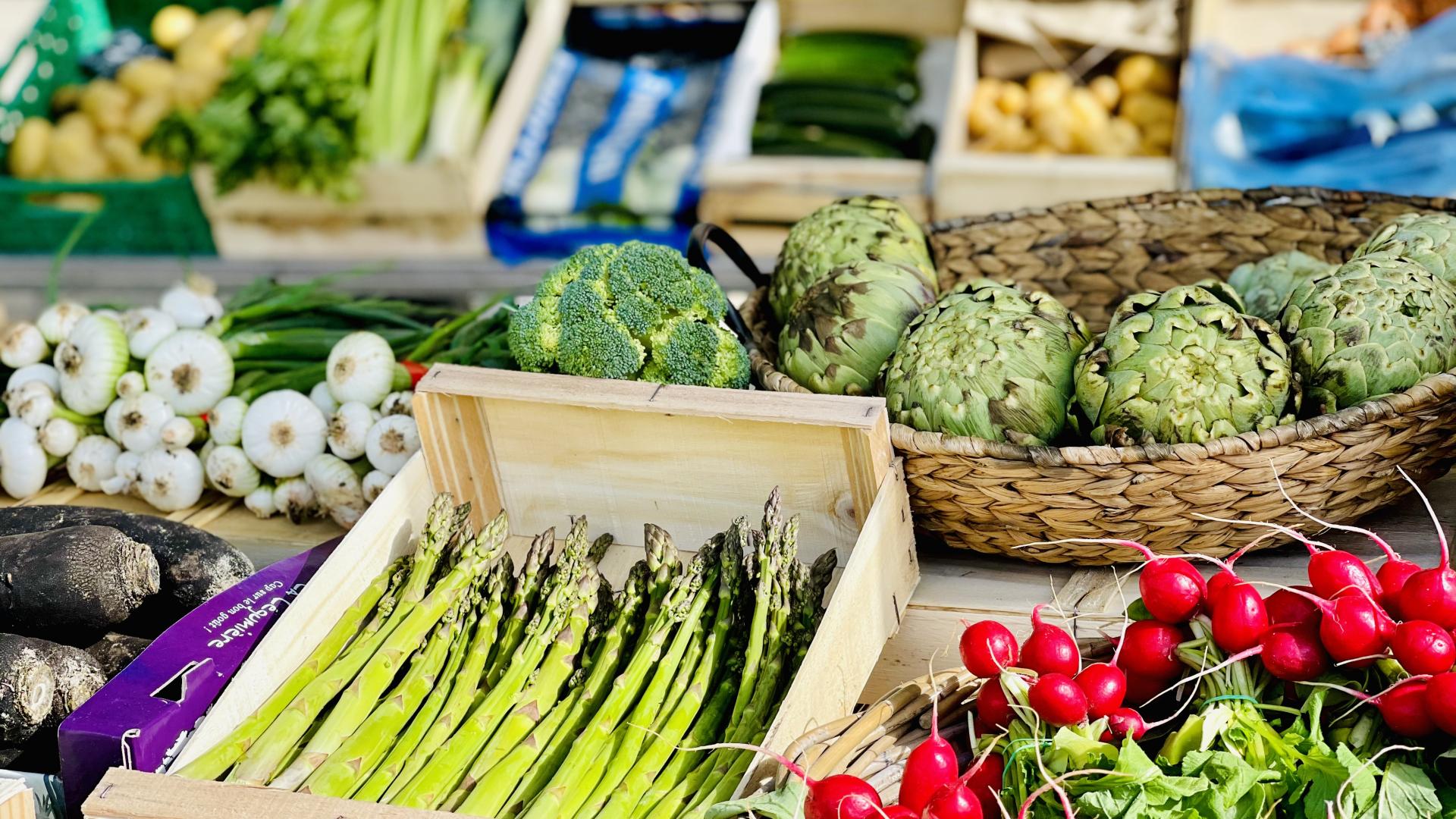 BARBOTAN-LES-THERMES | OFFICE DE TOURISME DE BARBOTAN-LES-THERMES