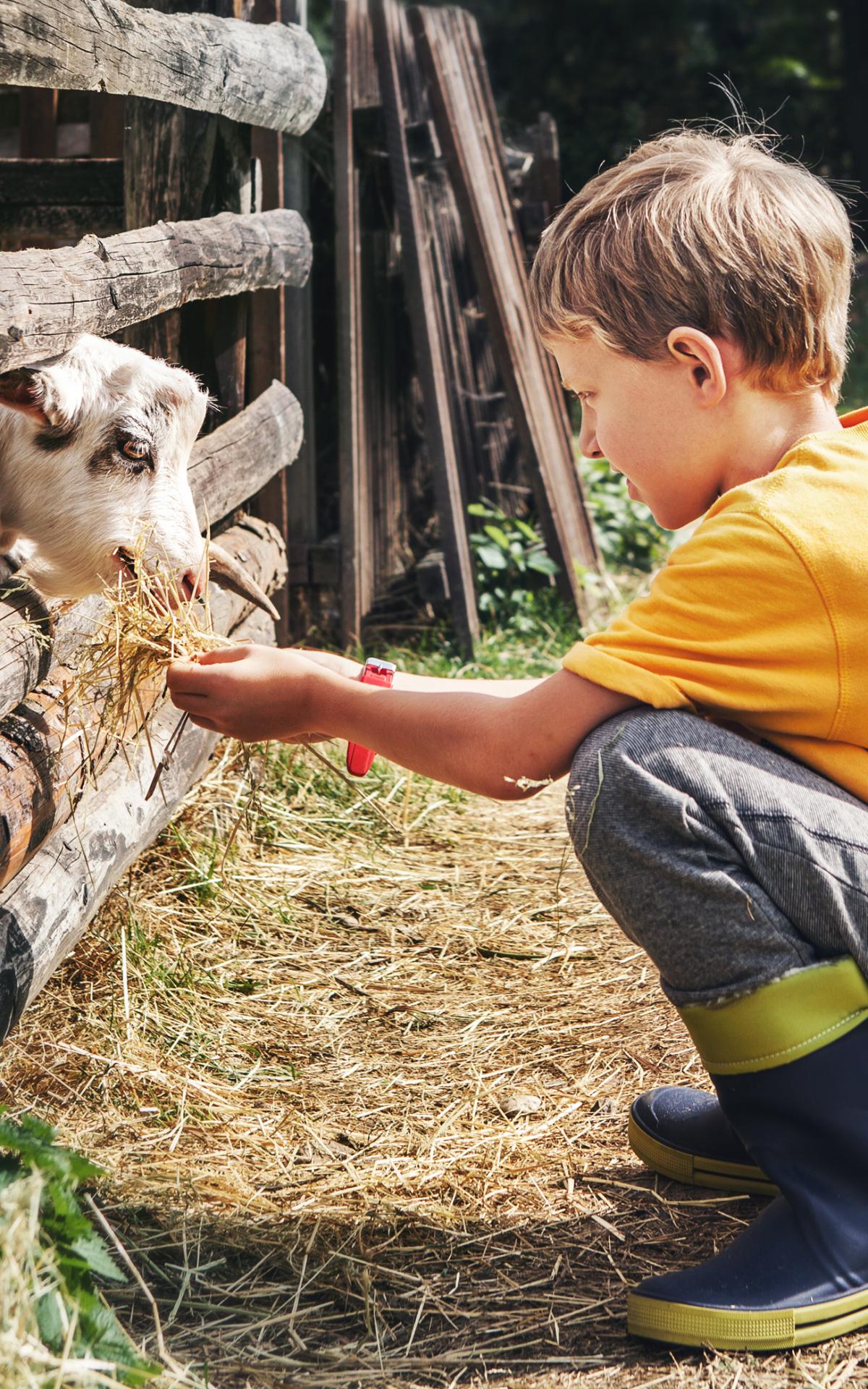 BARBOTAN-LES-THERMES | OFFICE DE TOURISME DE BARBOTAN-LES-THERMES